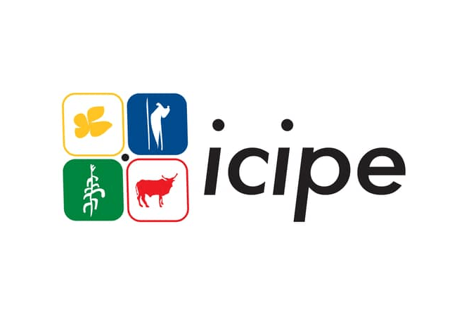 Internship - Communication Unit Vacancy at icipe