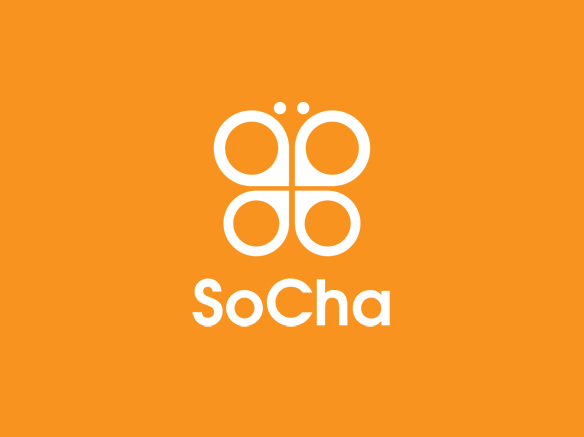 Research Assistants Vacancy at SoCha LLC