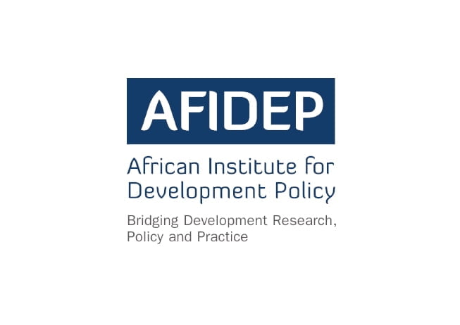Research Assistant – Youth Futures Project Vacancy at African Institute ...