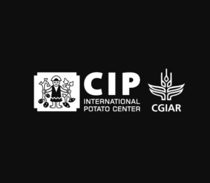 IT Undergraduate Internship at International Potato Center in Nairobi ...