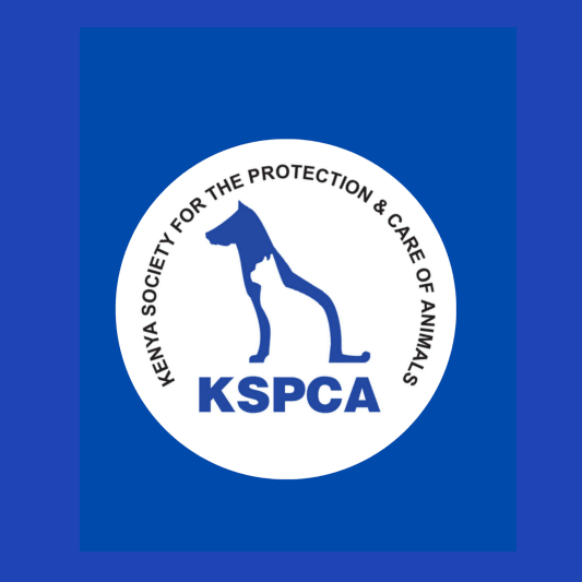 Social Media Intern at Kenya Society for Protection and Care of Animals ...