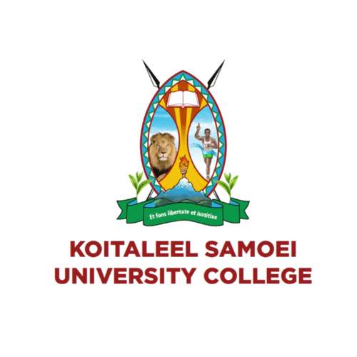 Nursing Officer III at Koitaleel Samoei University College in Mosoriot ...