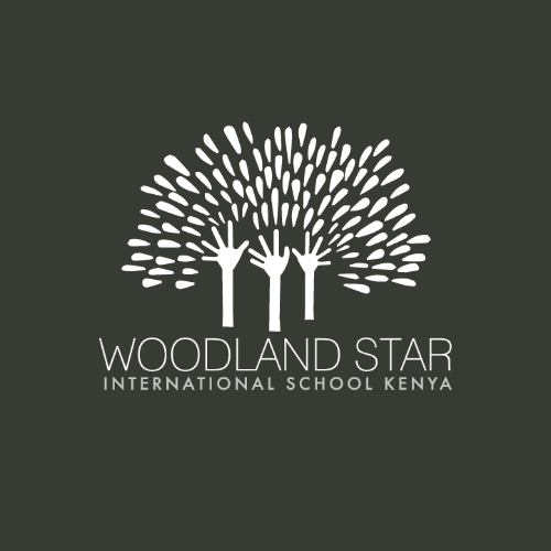 Apply for Early Years Teaching Internship at Woodland Star ...