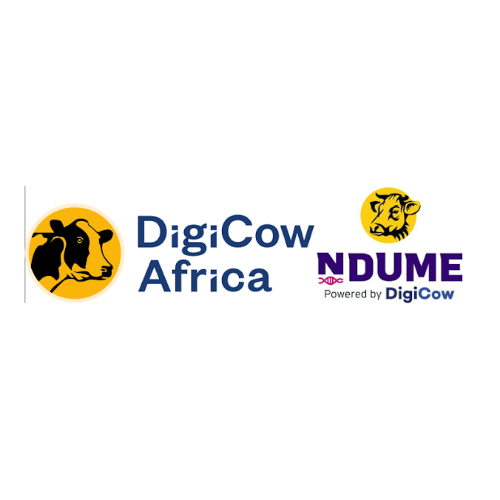 Ndume Brand Ambassador at DigiCow Africa in Kenya | Apply Now!